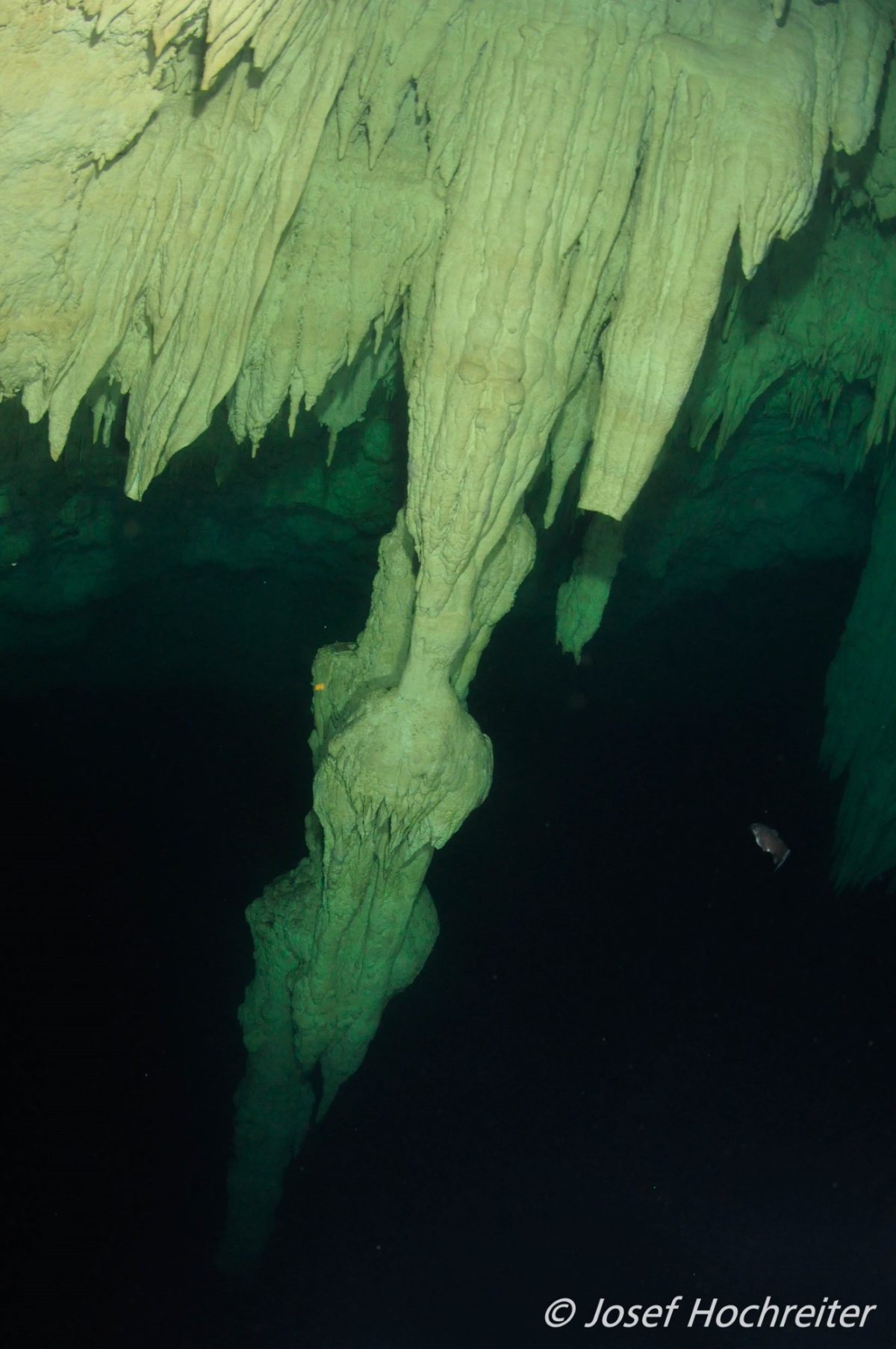 Cenote Kin Ha | Cenote Adventures | Grottentauchen in Mexiko